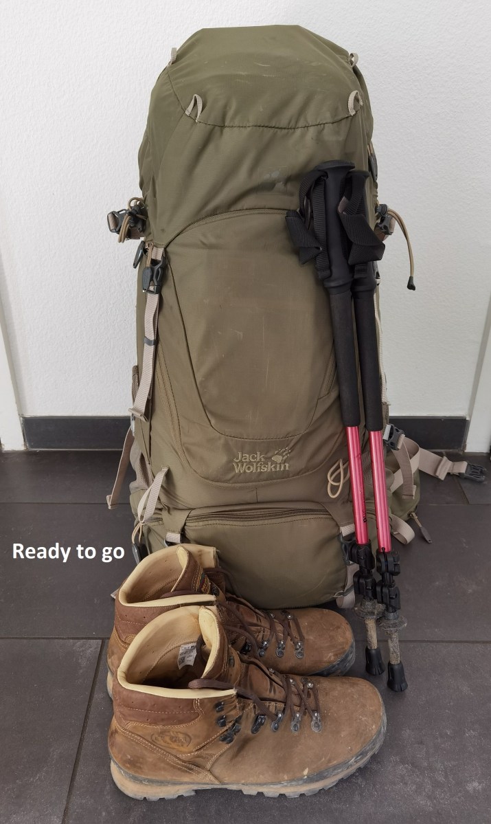 No Donkey #1 – Walkingman